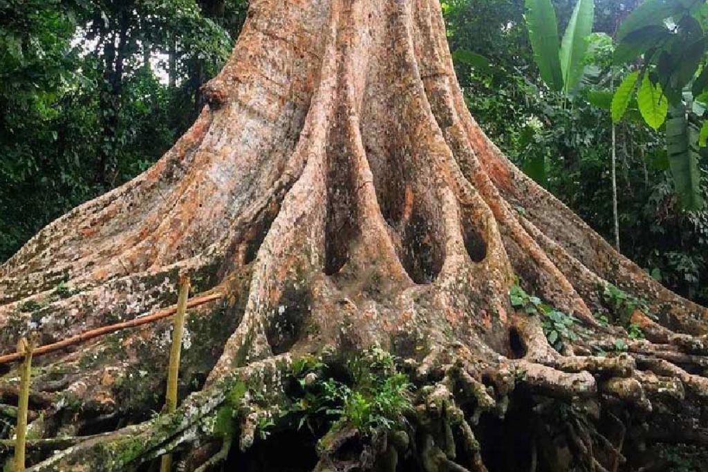 Explore - Astoria Palawan